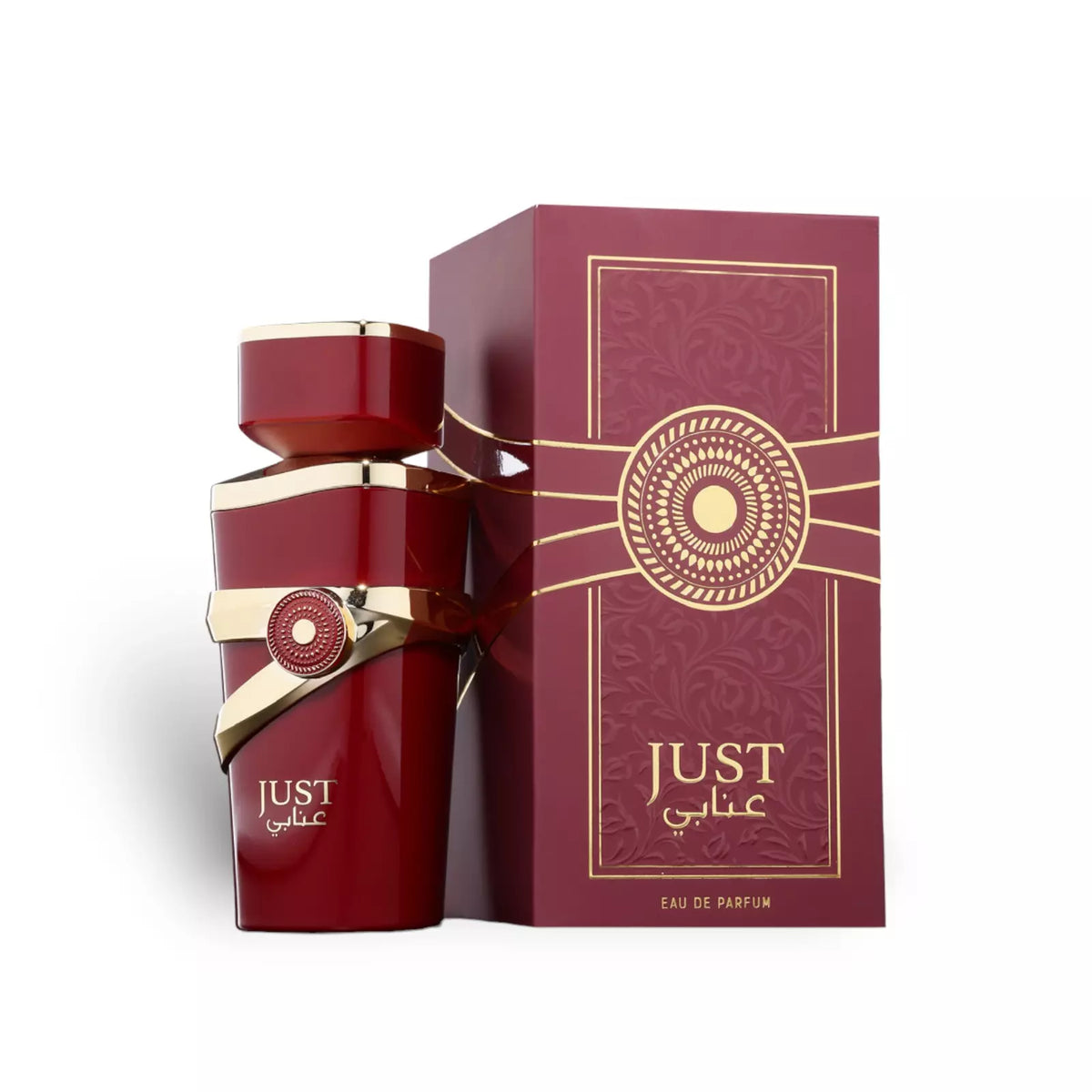 Just Perfume Collection Eau De Parfum 100ml by Fragrance World ...